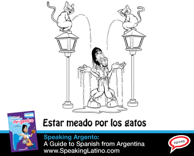 6 Spanish Slang Expressions With The Word CAT