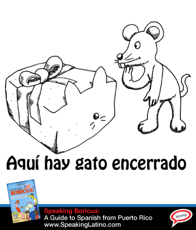 6 Spanish Slang Expressions With The Word CAT