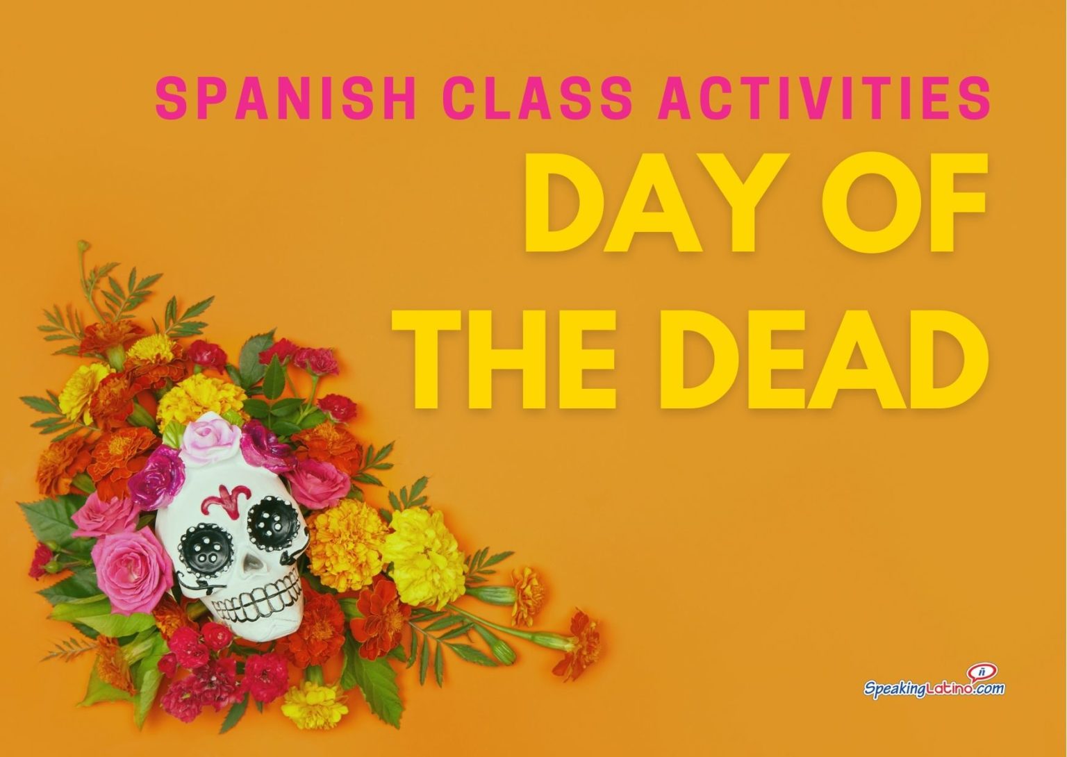 Day of the Dead Lesson Plan and Vocabulary Builder Activities: El Día ...