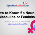 Gender and Number of Nouns (Introduction to Articles) Spanish Class ...