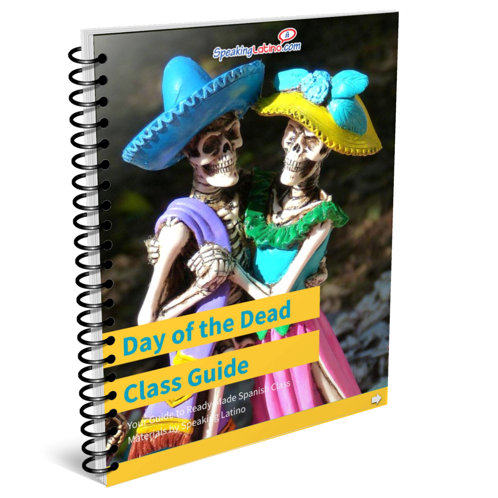Day of the Dead Lesson Plan and Vocabulary Builder Activities: El Día ...