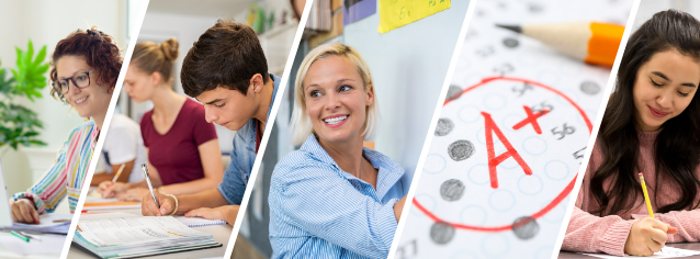 Spanish Teacher Framework Course